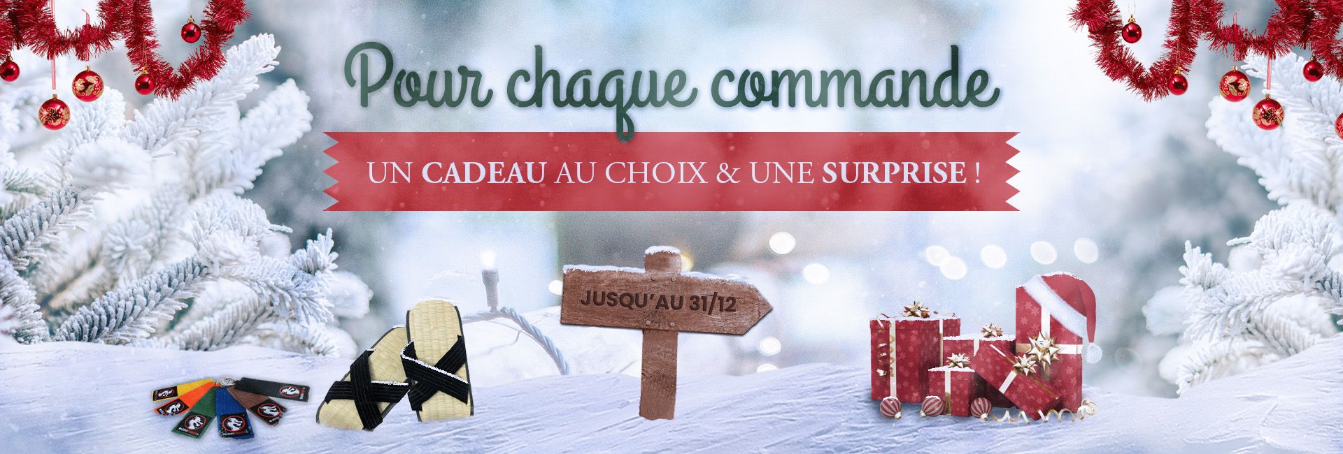 Budo-Fight : Boutique Arts Martiaux et Sports de Combat