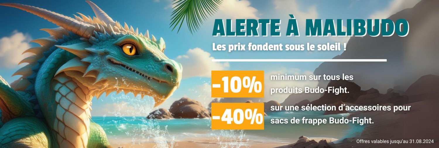 Budo-Fight : Boutique Arts Martiaux et Sports de Combat